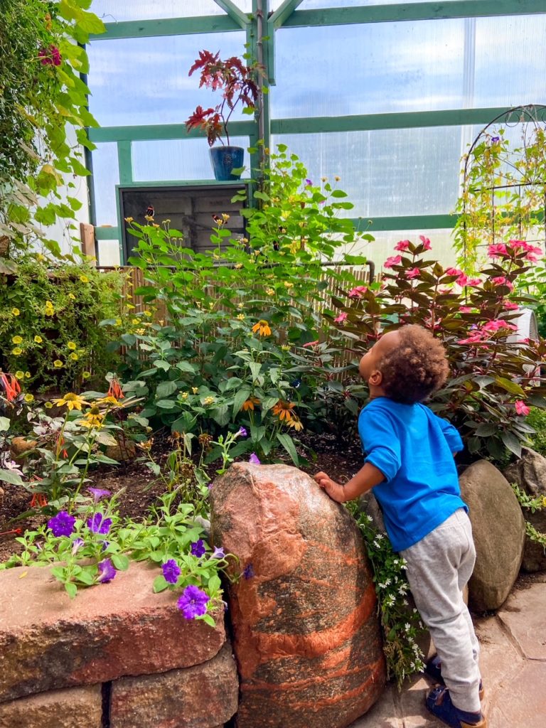 Things to Do in Michigan in March - from Michigan with Love Blog